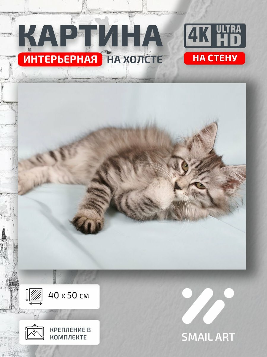 Картина на холсте интерьерная 40 на 50 на стену Глаза Animal для кабинета animal style