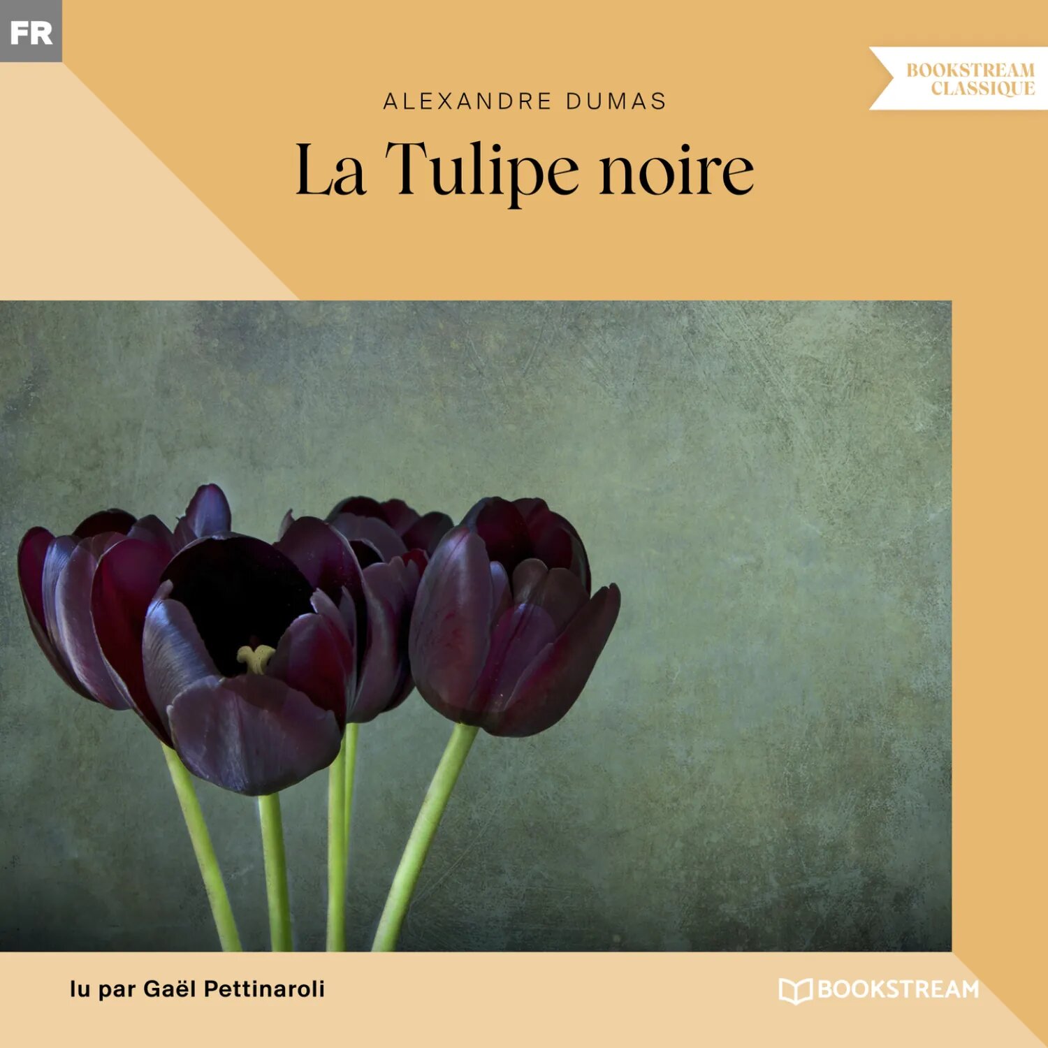 La Tulipe noire (Version intégrale) [Аудиокнига]