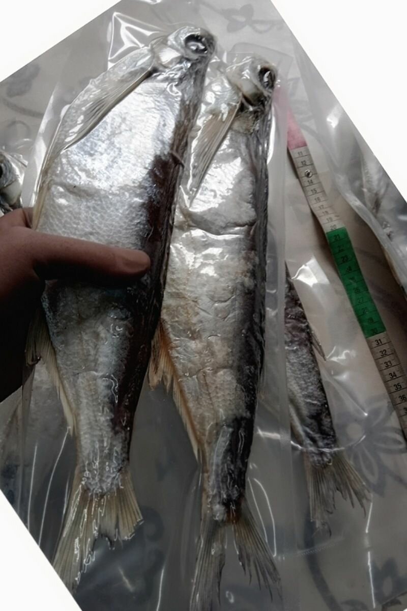 Чехонь "Отборная"