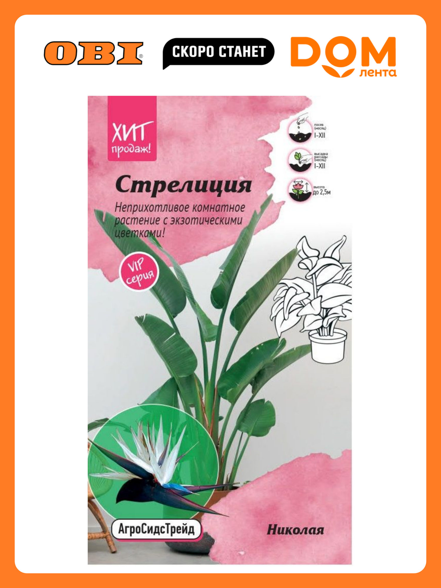 Стрелиция Николая 3шт АСТ