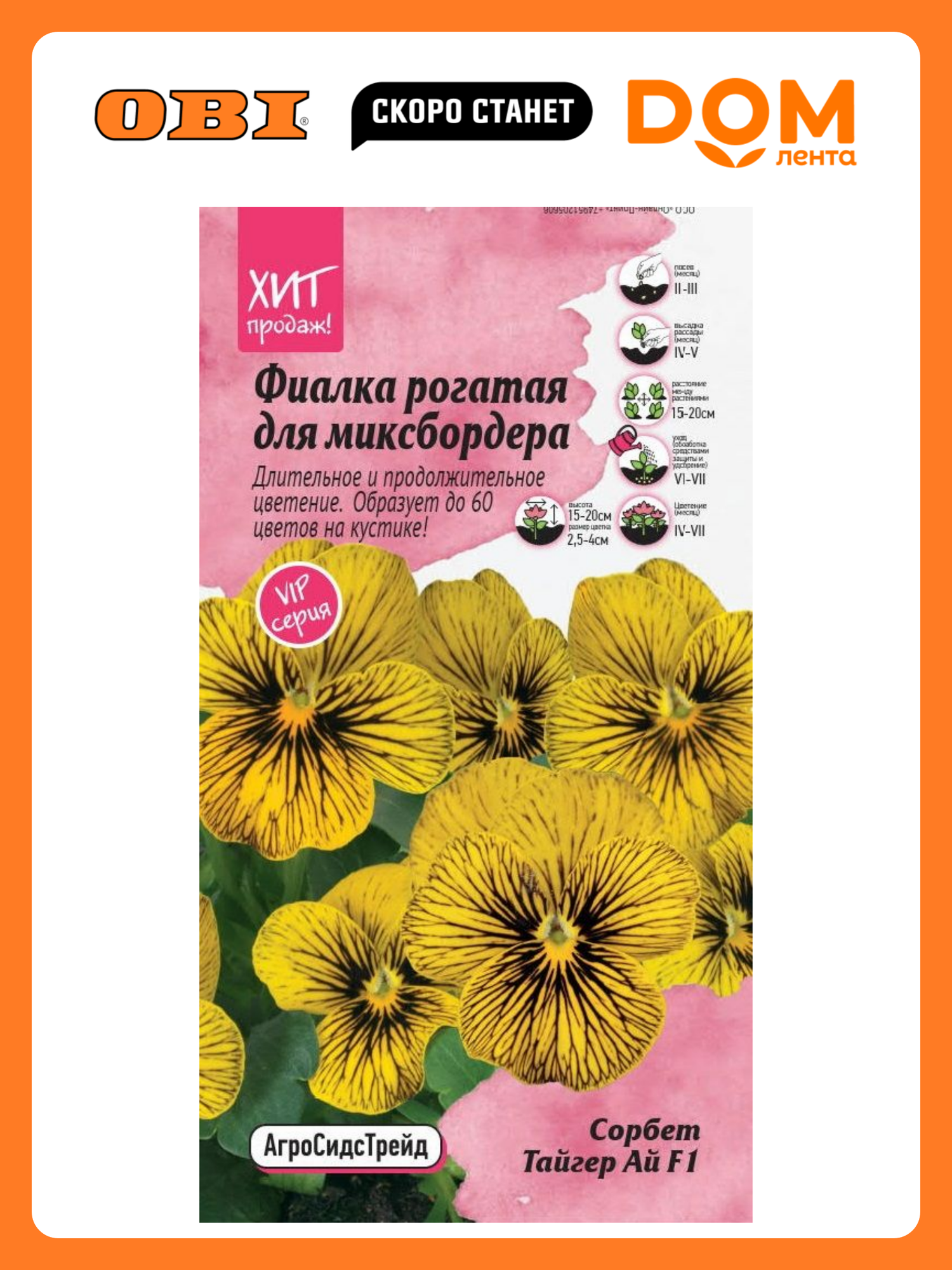 Фиалка рогатая Сорбет Тайгер Ай F1 5 шт АСТ