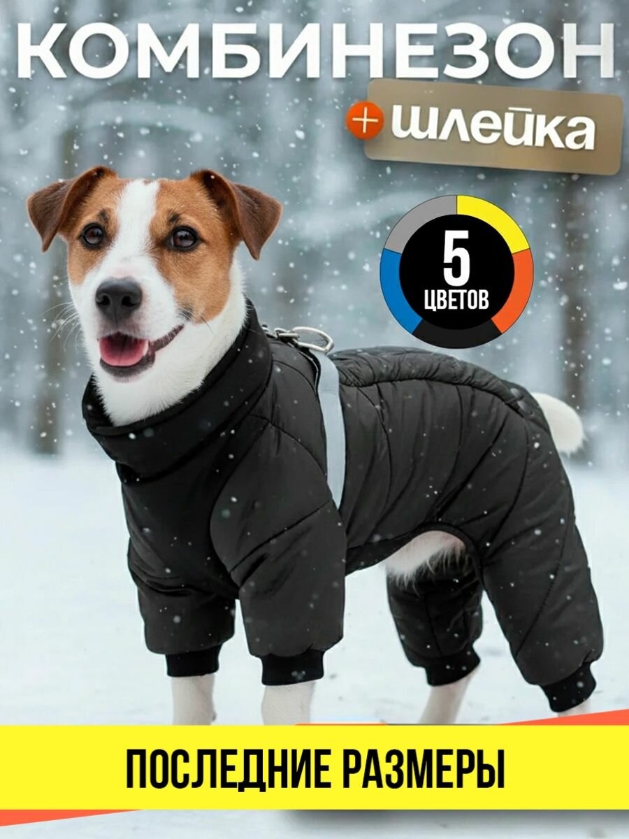 Зимний комбинезон для собак мелких пород MiloPets, M