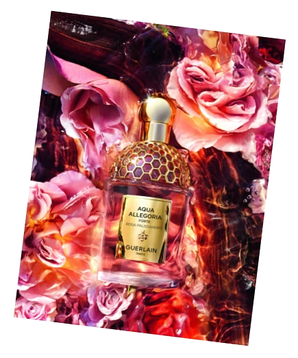 Аромат розы Guerlain Aqua Allegoria Forte Rosa Palissandro 75 мл унисекс