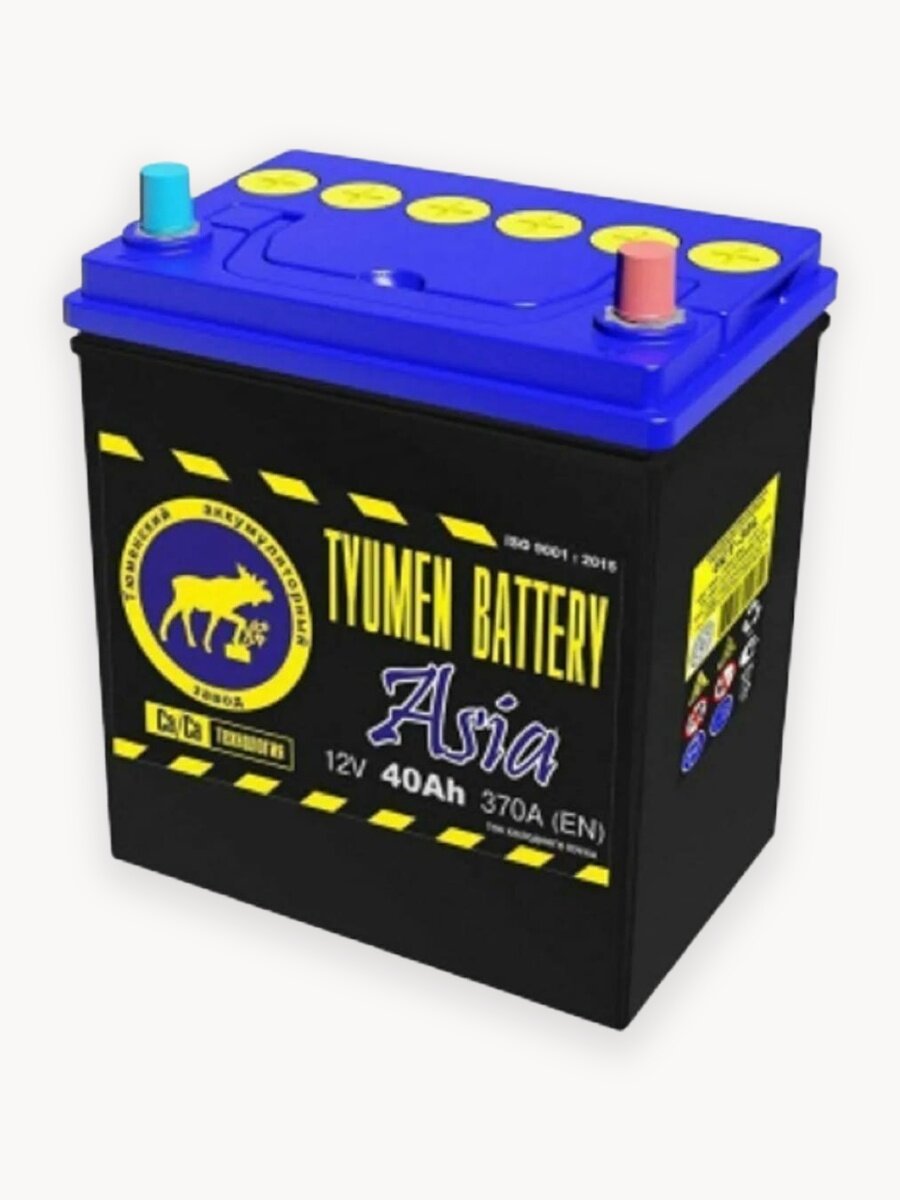 Аккумуляторная батарея TYUMEN BATTERY Тюмень asia 6ст-40.0 тонк. кл. TNSa40.0 обратная полярность для автомобилей легковых и грузовых кальциевая технология