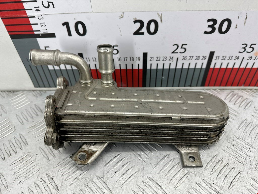 Радиатор системы ЕГР Volkswagen Golf 4 038131513D арт. 2206342
