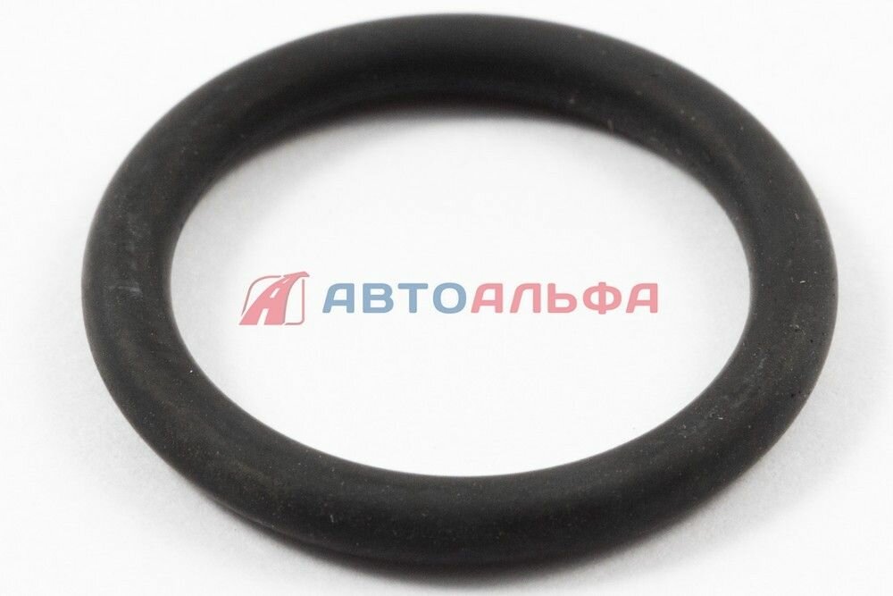 Кольцо уплотнительное головки блока (020-025-30) КАМАЗ