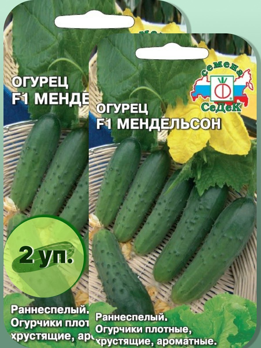 Семена огурца "СеДеК" мендельсон F1 (2 уп.)