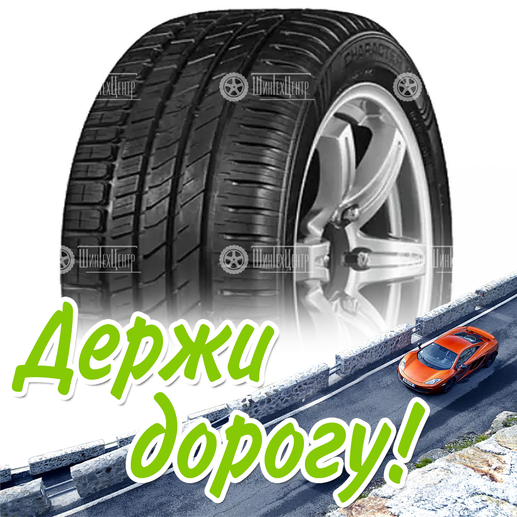 Шина 205/55R16 Ikon Tyres Character Eco 91 H Летняя для легковых автомобилей и кроссоверов