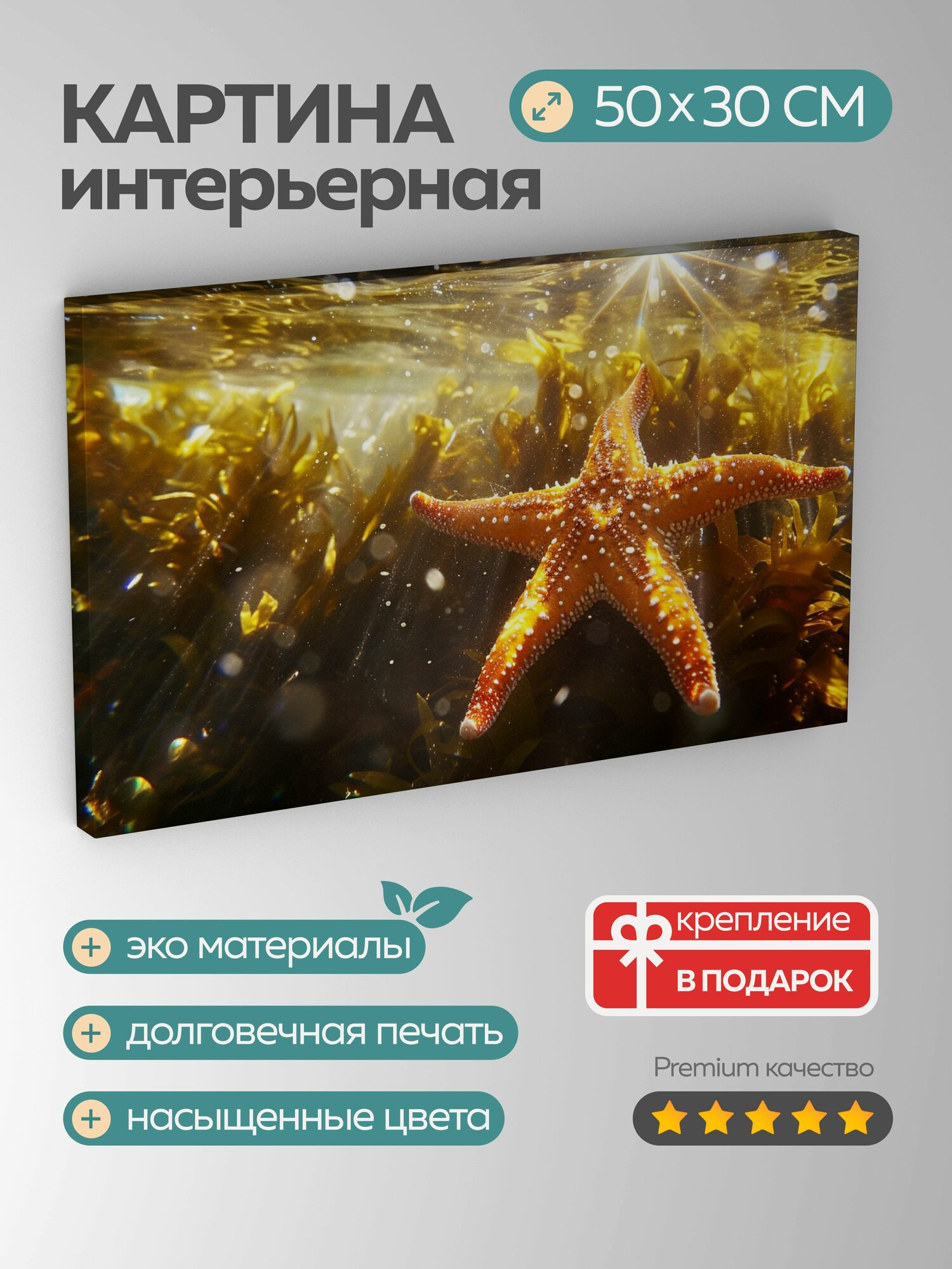 Картина на холсте интерьерная 50х30 см, фотография, морская звезда, подводное царство, кристально чистые воды