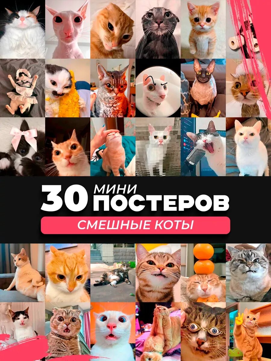 Набор мини постеров Смешные котики