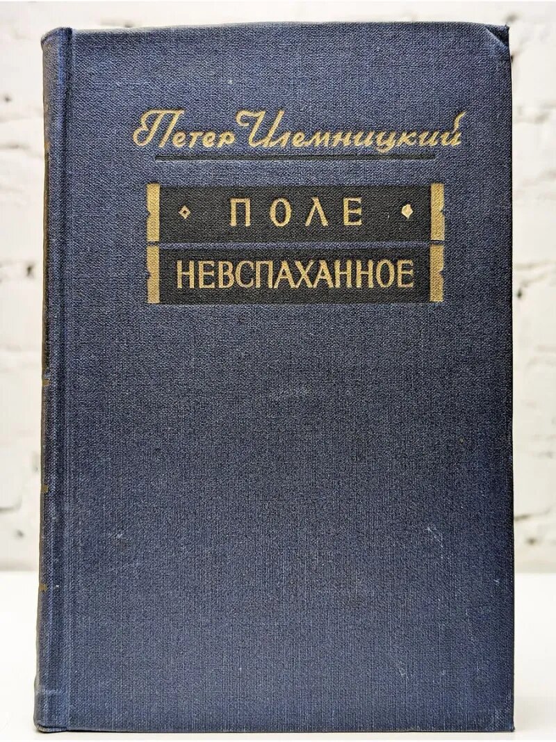 Поле невспаханное