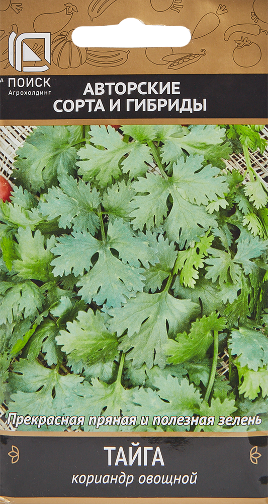 Семена Кориандр Тайга, (3 упак.)