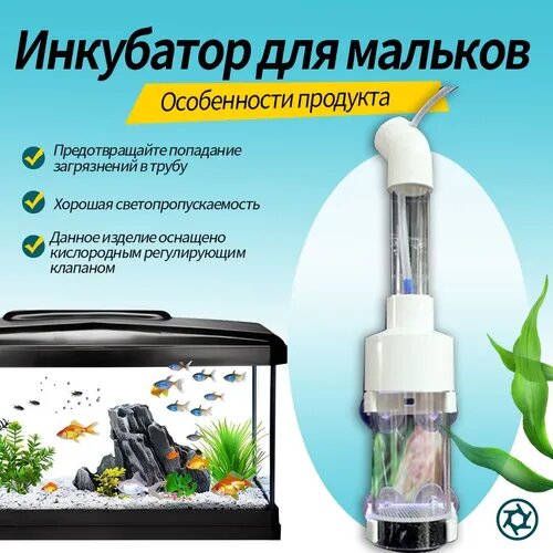 Декоративный рот вылупляющейся рыбы, яйцеклад, вылупление аквариумных мальков