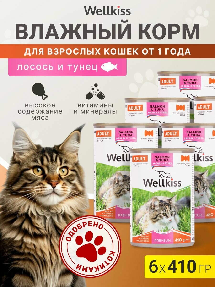 Wellkiss Влажный корм (консервы) для кошек, нежные кусочки с лососем и тунцом в желе, 410 гр. * 6 шт.