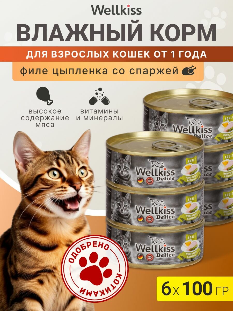 Wellkiss Delice Влажный корм (консервы) для кошек, нежное филе цыпленка со спаржей, 100 гр. * 6 шт.