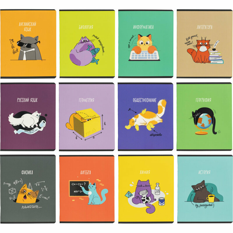 Тетрадь предметная набор Комус Класс Котики 12 шт, 48, А5, 2234789