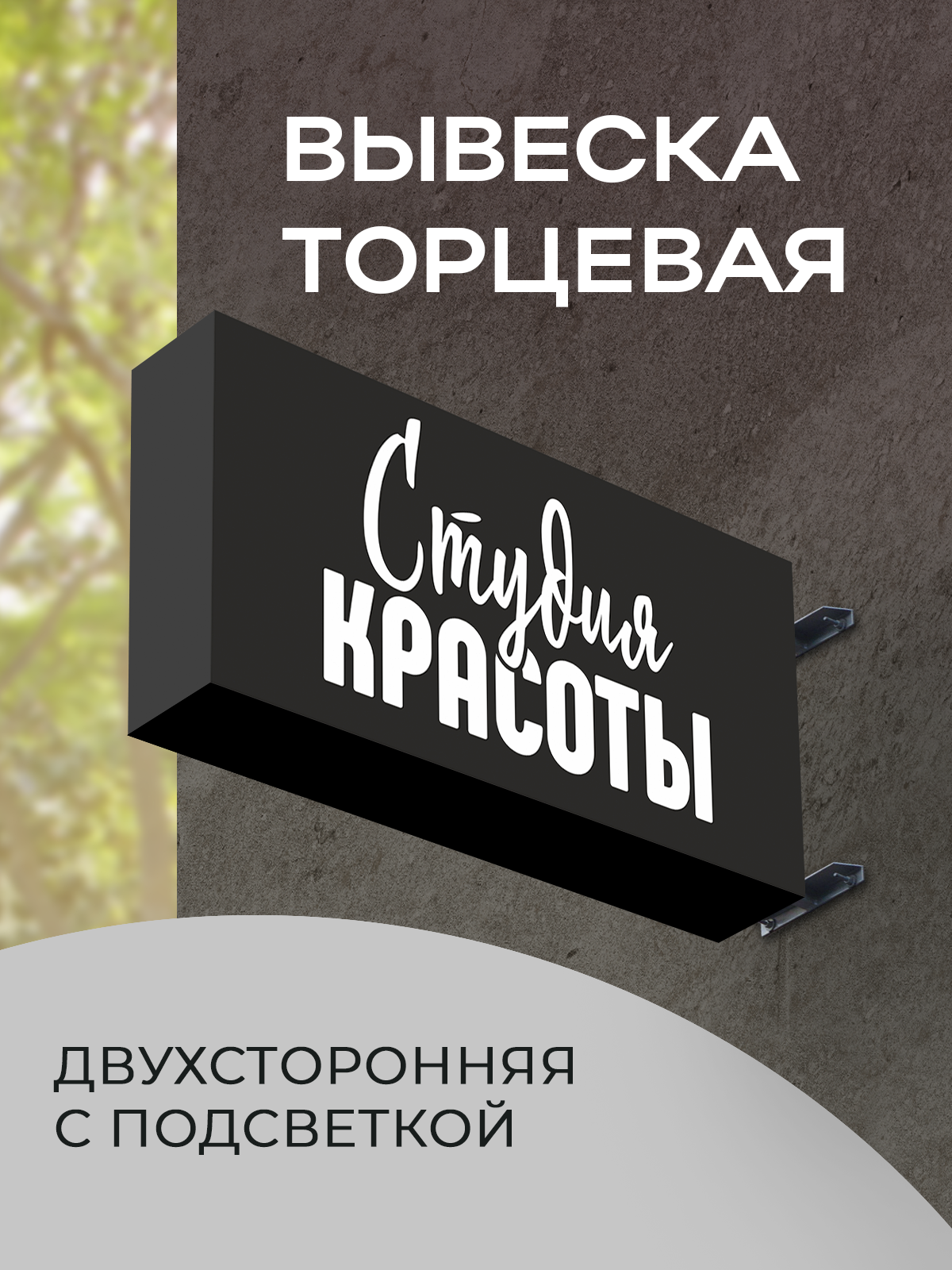 Вывеска торцевая двухсторонняя с подсветкой 30х60 см Студия красоты 4