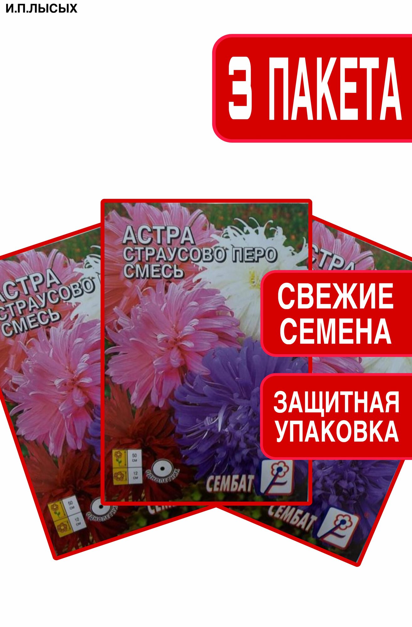 Семена Астра "Страусово перо смесь"