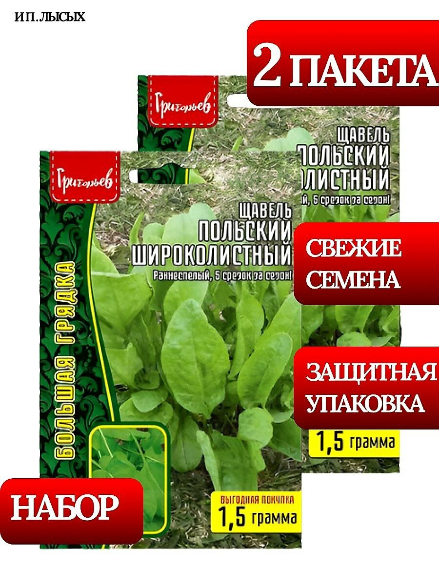 Семена Щавель "Польский Широколистный"
