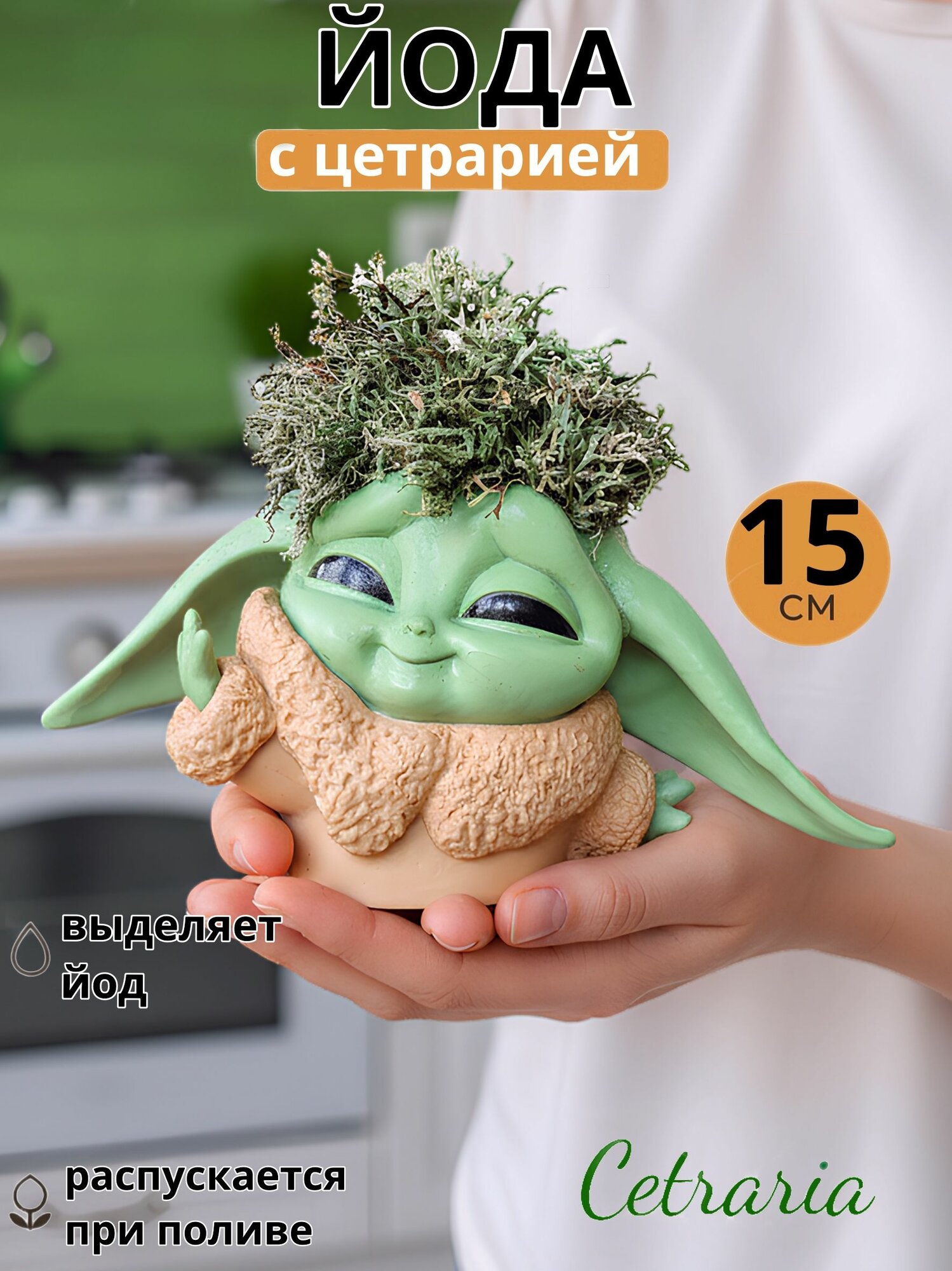 Беби Йода Грогу с живой прической цетрария. Украшение интерьера