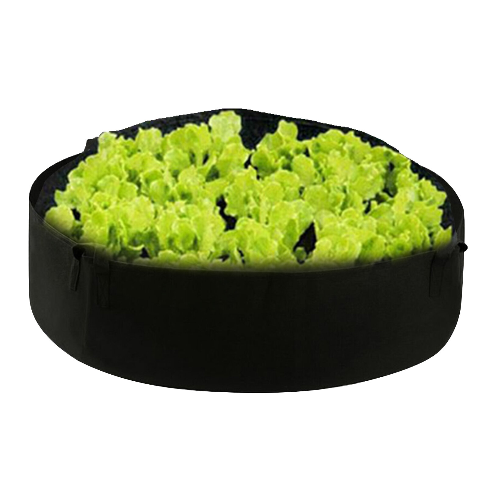 Грядки для растений Растительные мешки Круглые контейнеры для посадки Дыхательные горшки для картофеля фруктов трав цветов овощей 20x8 дюймов Фиолетовый Черный Размеры S M L Материал Фетр