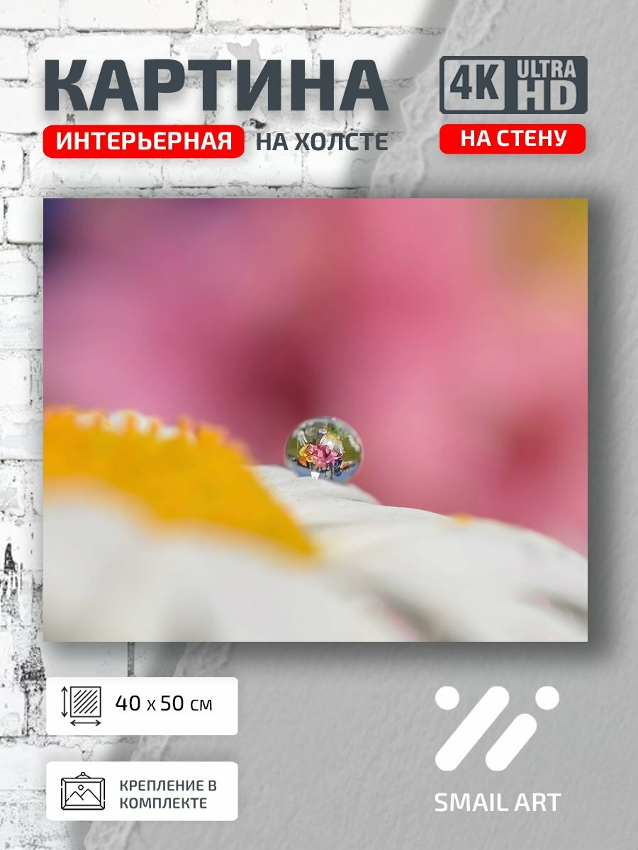 Картина на холсте интерьерная 40 на 50 на стену Капля Macro для офиса макро интерьер декор