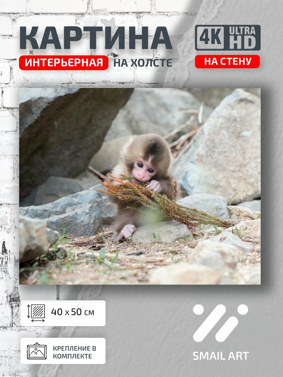 Картина на холсте интерьерная 40 на 50 на стену Обезьянка Mood для студии атмосфера декор