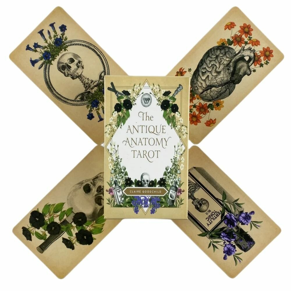 Карты Таро Античное Анатомическое/The Antique Anatomy Tarot