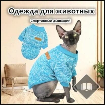 Одежда для животных — фото 1