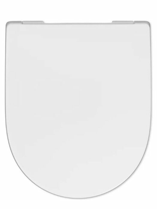 Крышка-сиденье для унитаза Roca Ona ZRU9310293 микролифт