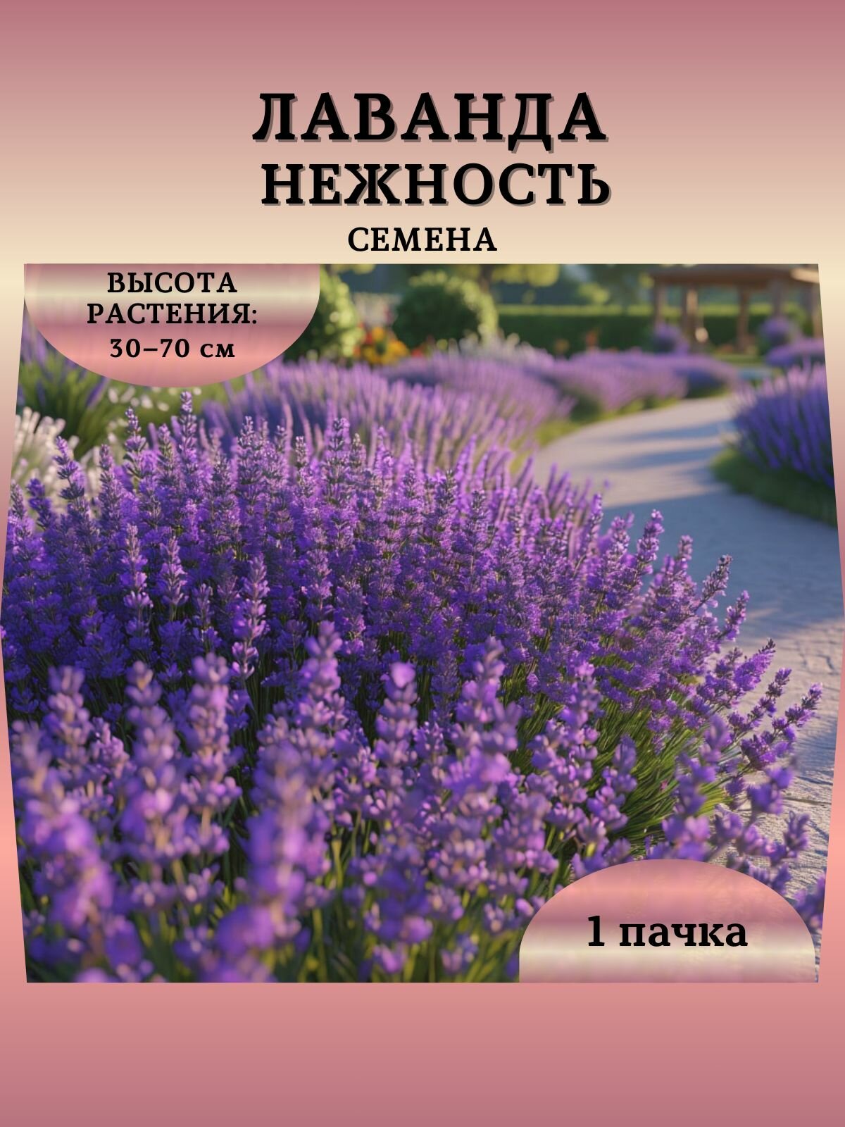 Семена Лаванды "Нежность", 10 семян