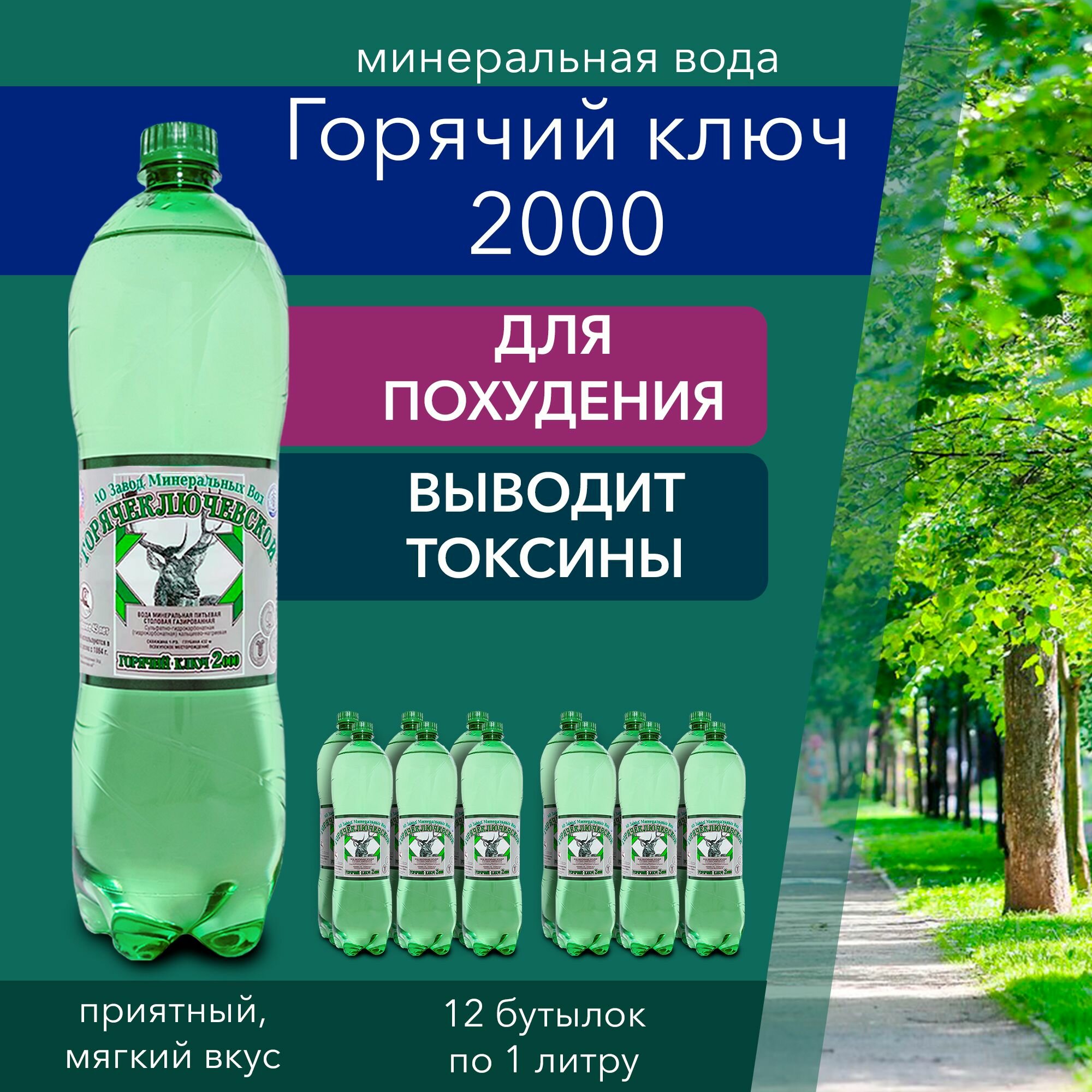 Вода Горячий Ключ 2000. Объем 1л*12 шт. Вода минеральная газированная природная целебная лечебная, выводит токсины,