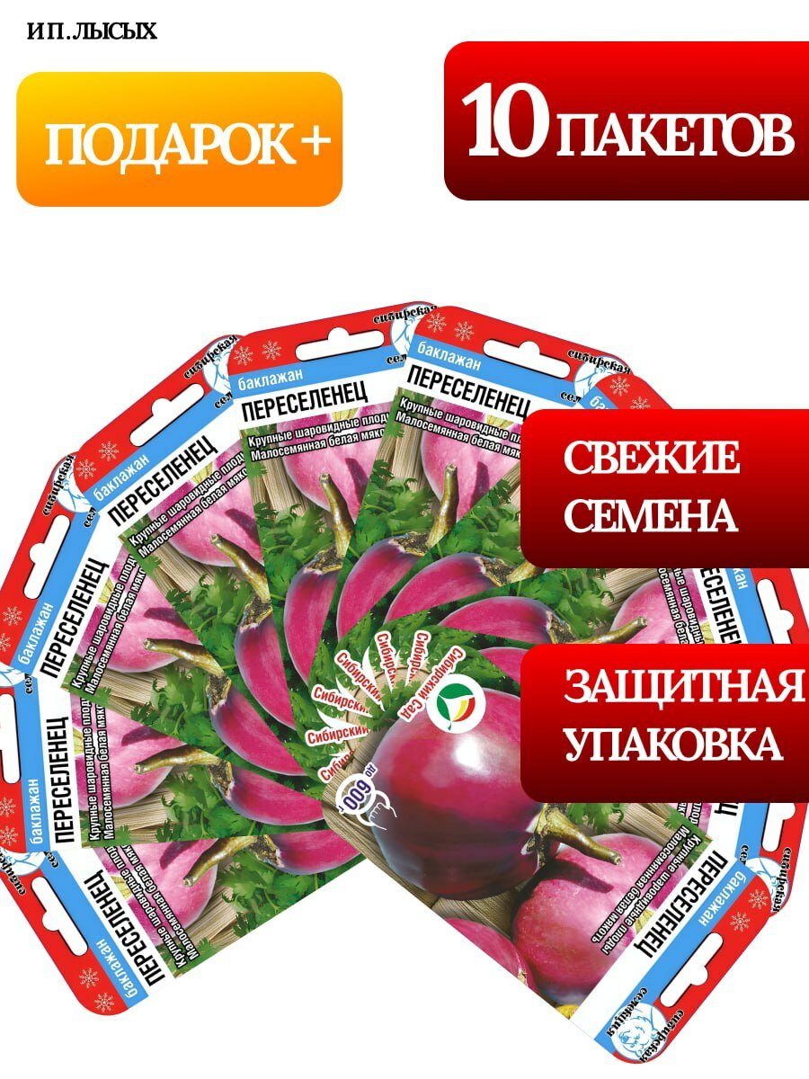 Семена Баклажан "Переселенец"