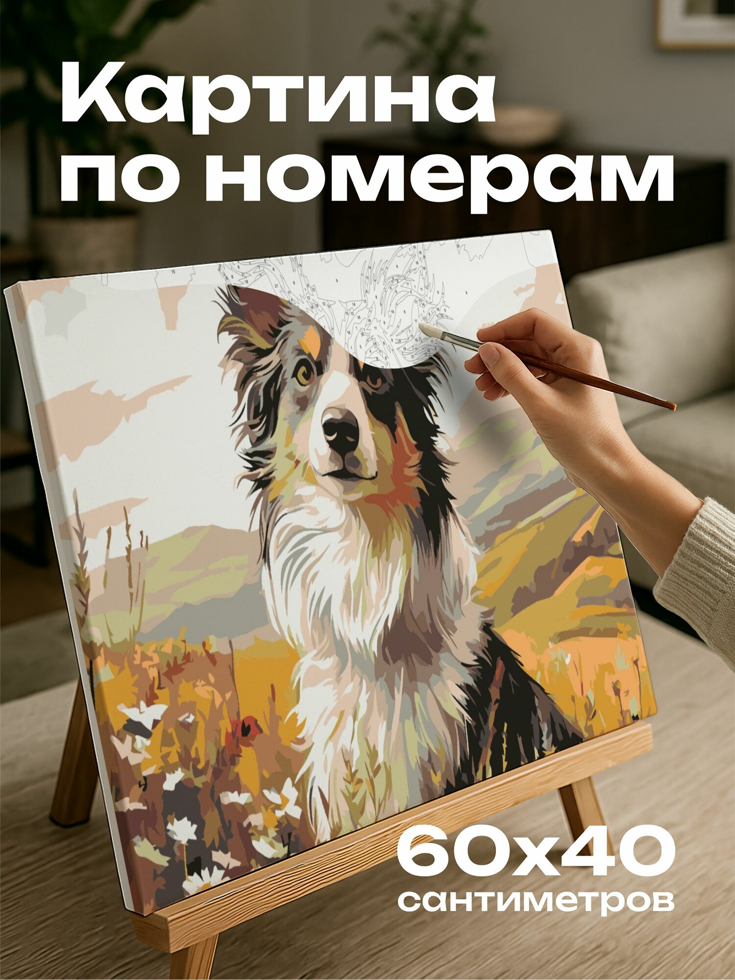 Картина по номерам 60x40 см, Цифровое искусство, колли, яркие цвета, замысловатые детали, холмы, цветущие цветы, собака
