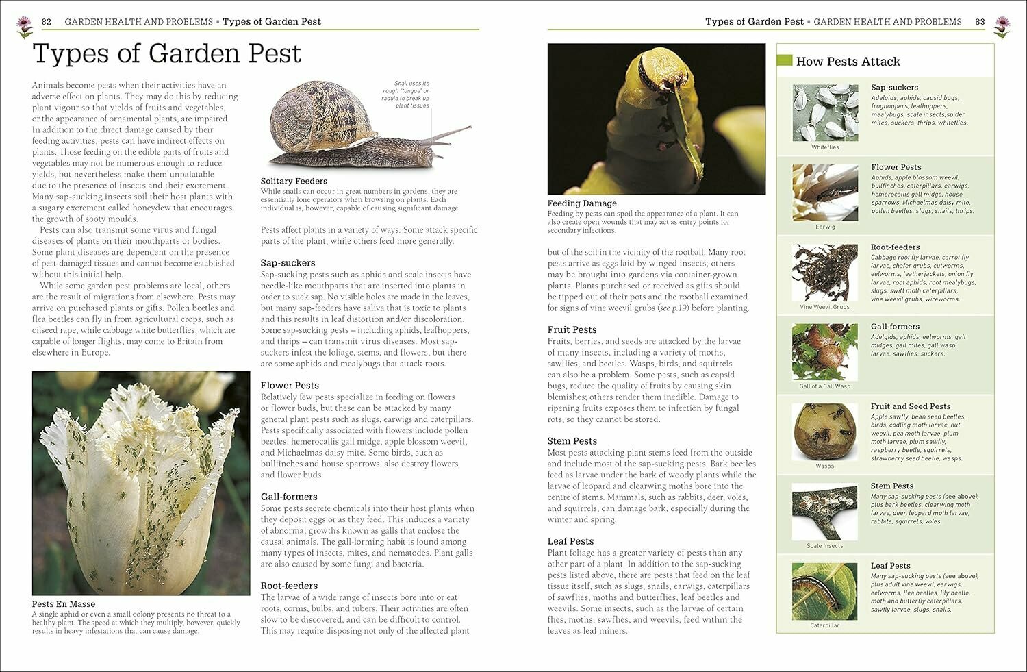 RHS Pests & Diseases — фото 1