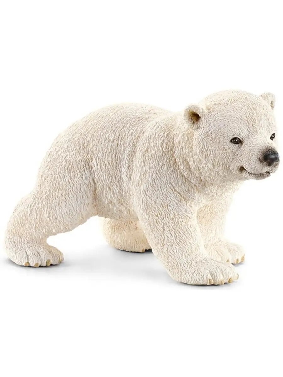 Животное белый медвежонок