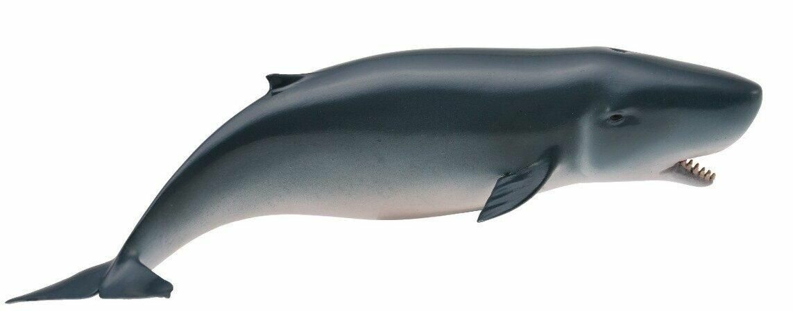 Фигурка Collecta "Карликовый кашалот", размер M, 6,2х15,2х3,8 см