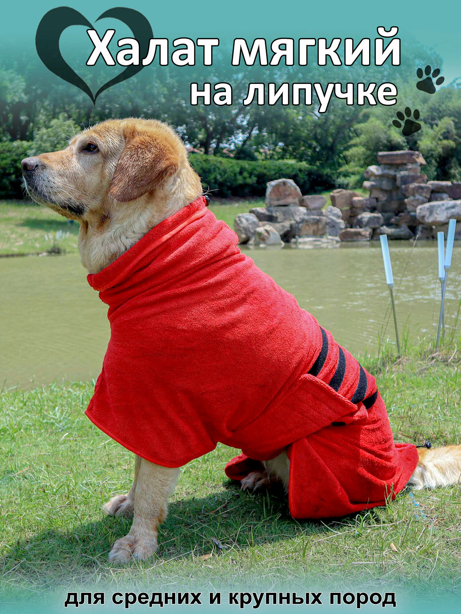 Одежда для животных