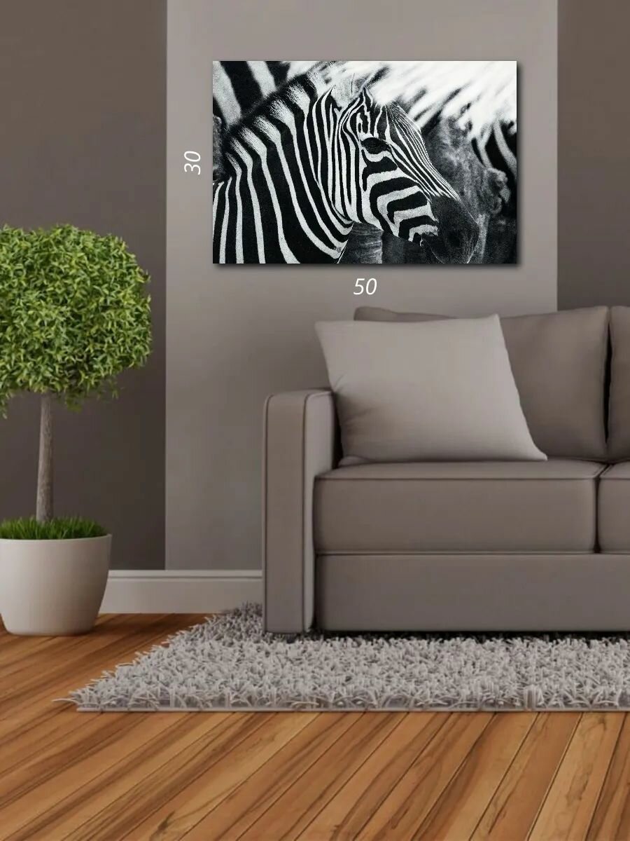 Картина на холсте "Зебра" 40х60 см