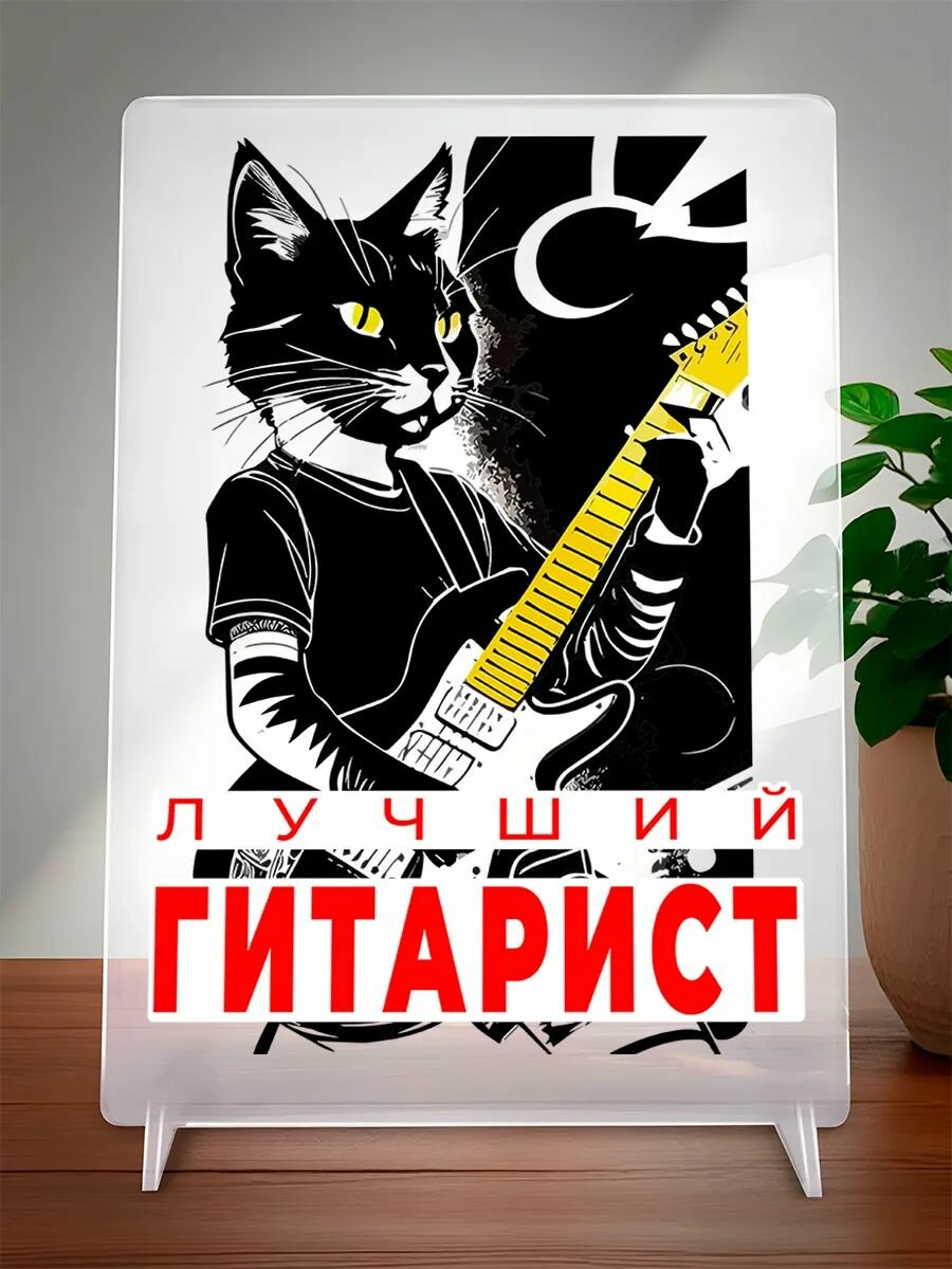 Акриловый постер подарок Гитарист