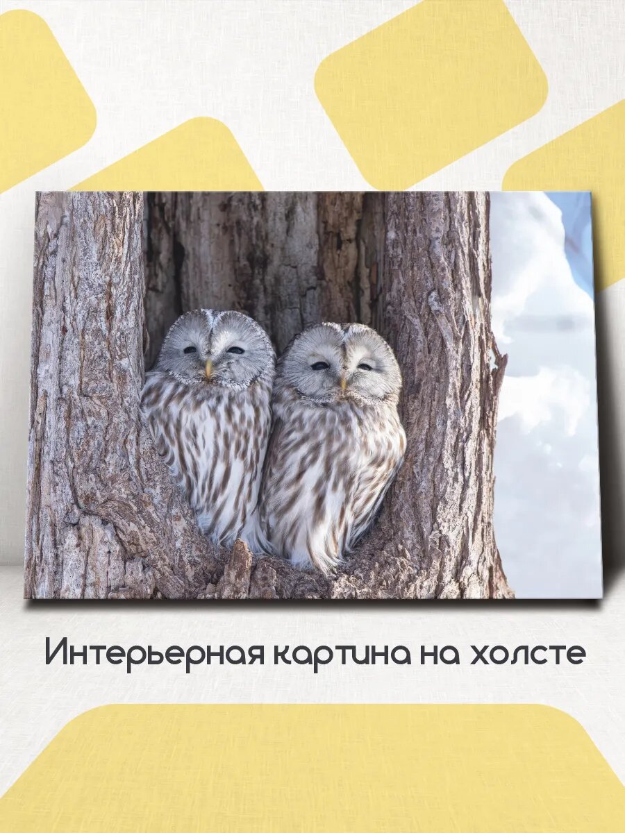Картина на стену интерьерная Совы, птицы 40x30 см