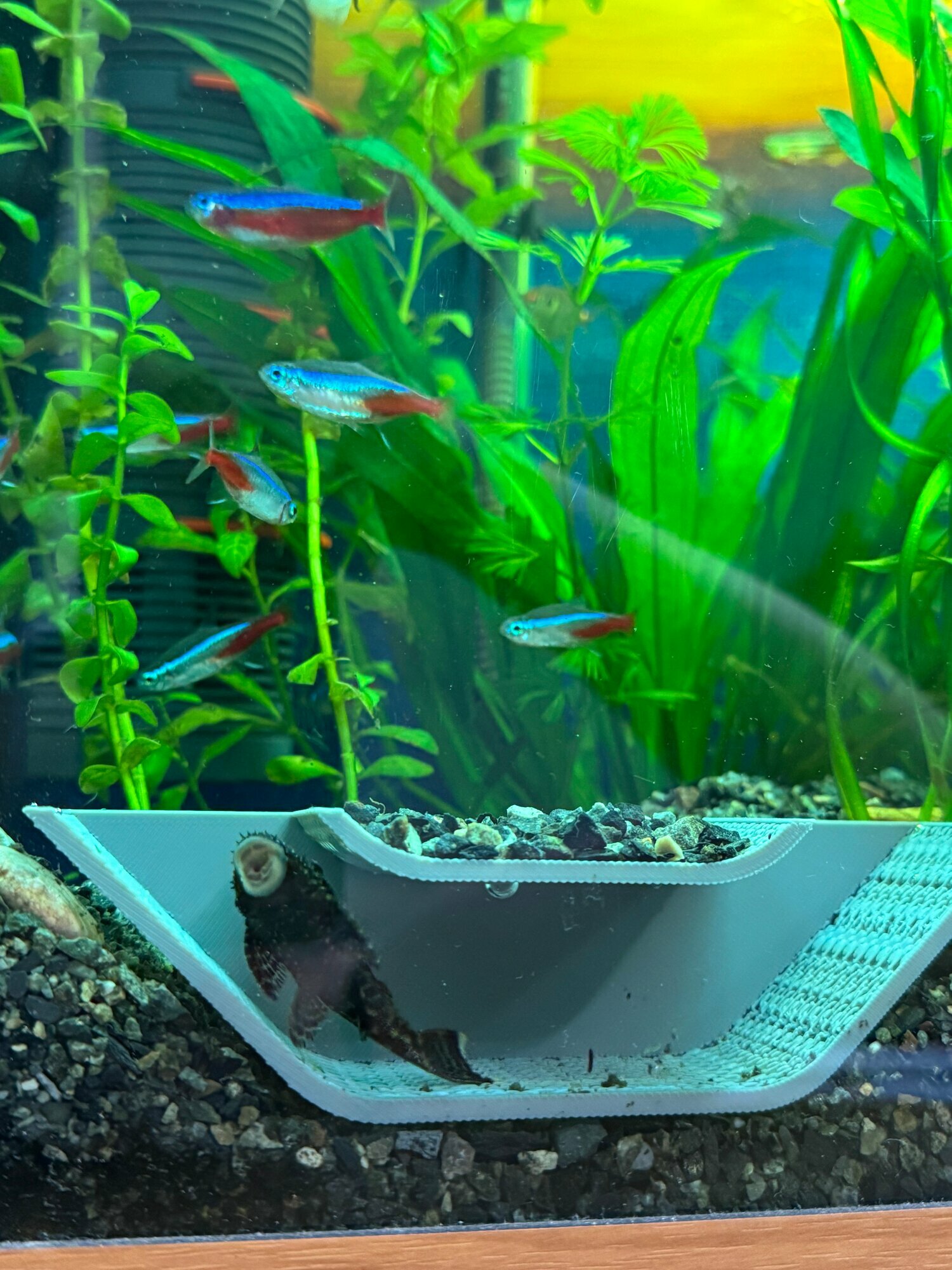 Сквозной тоннель 155 мм для аквариума укрытие для сомов и креветок