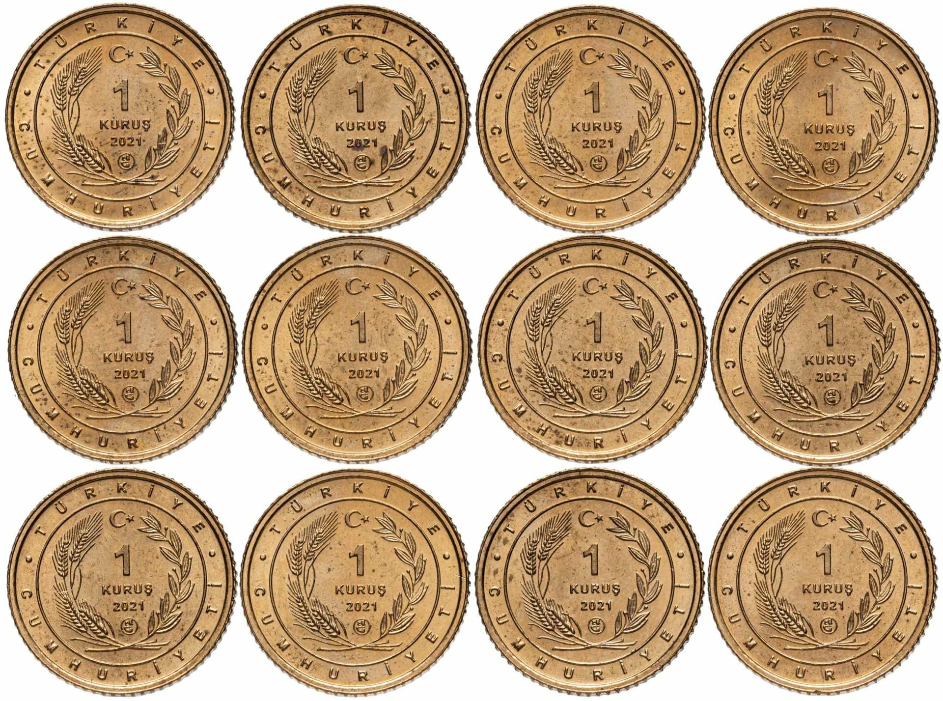 Турция набор из 12 монет 1 куруш 2021 Фауна - Птицы, Бронза, в сохранности AU-UNC