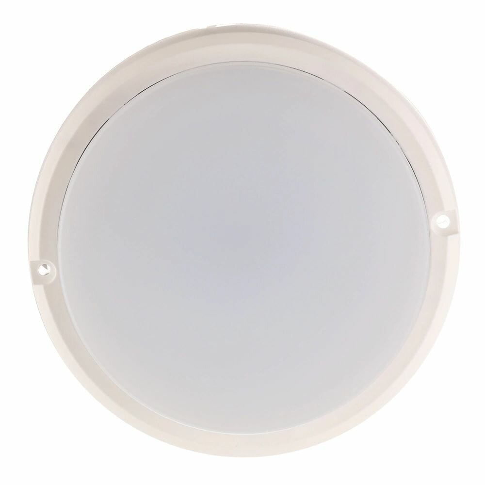 Светильник ЖКХ 12 Вт LED 6500 K IP54
