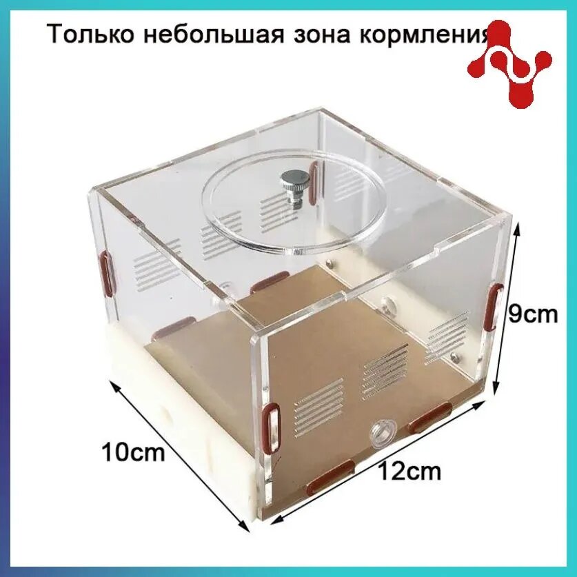 Муравьиная ферма