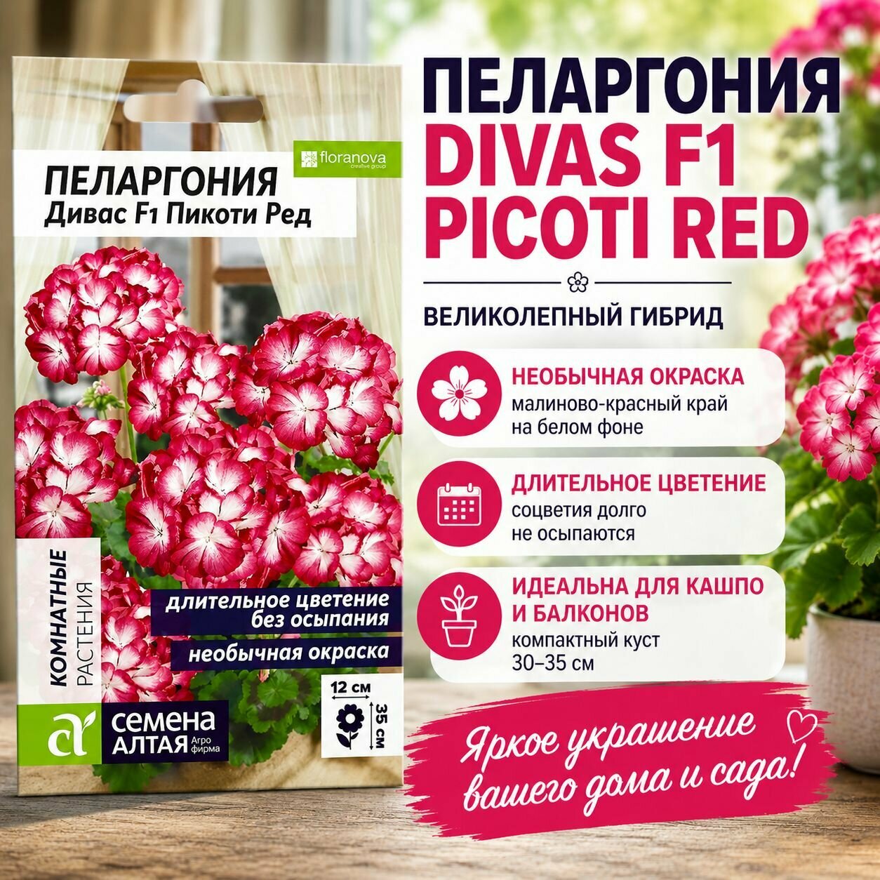 Семена Пеларгонии сорт Дивас Пикоти, Семена Алтая