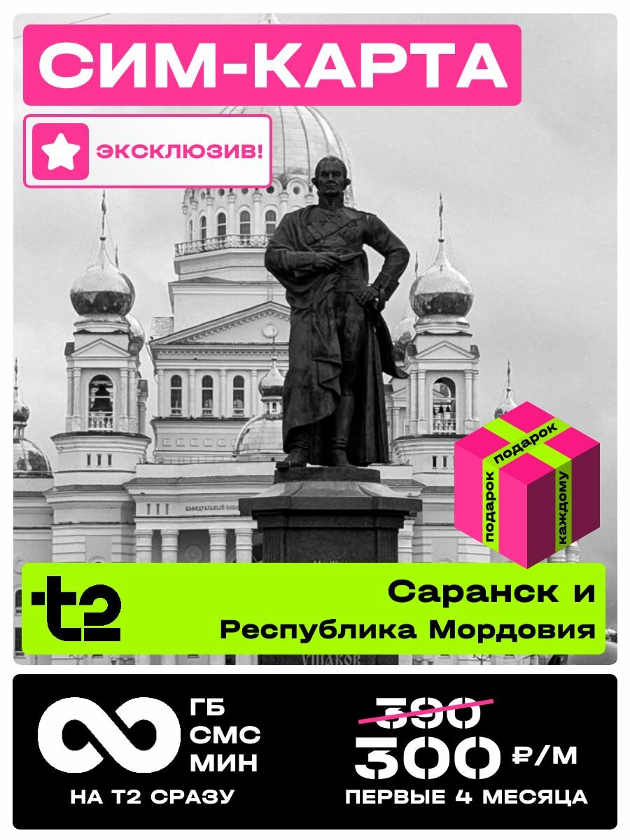 Сим карта теле 2 с безлимитным интернетом и минутами. t2 SIM-карта тариф хватит Республика Мордовия. За 300 рублей в месяц.