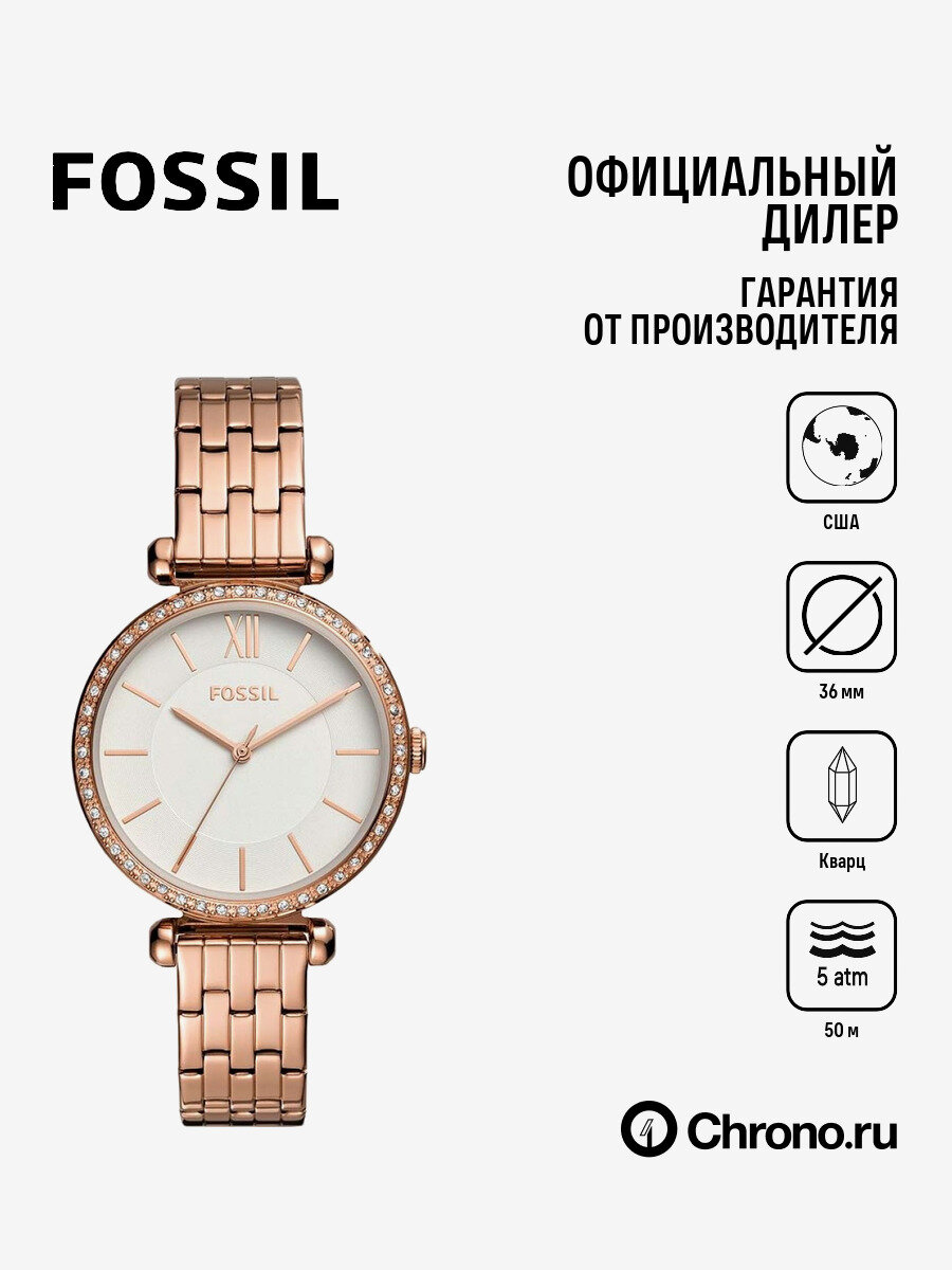  FOSSIL Tillie