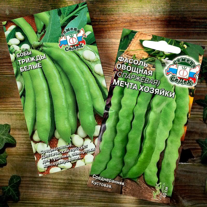 Семена бобы "Трижды белые" и фасоль "Мечта хозяйки"