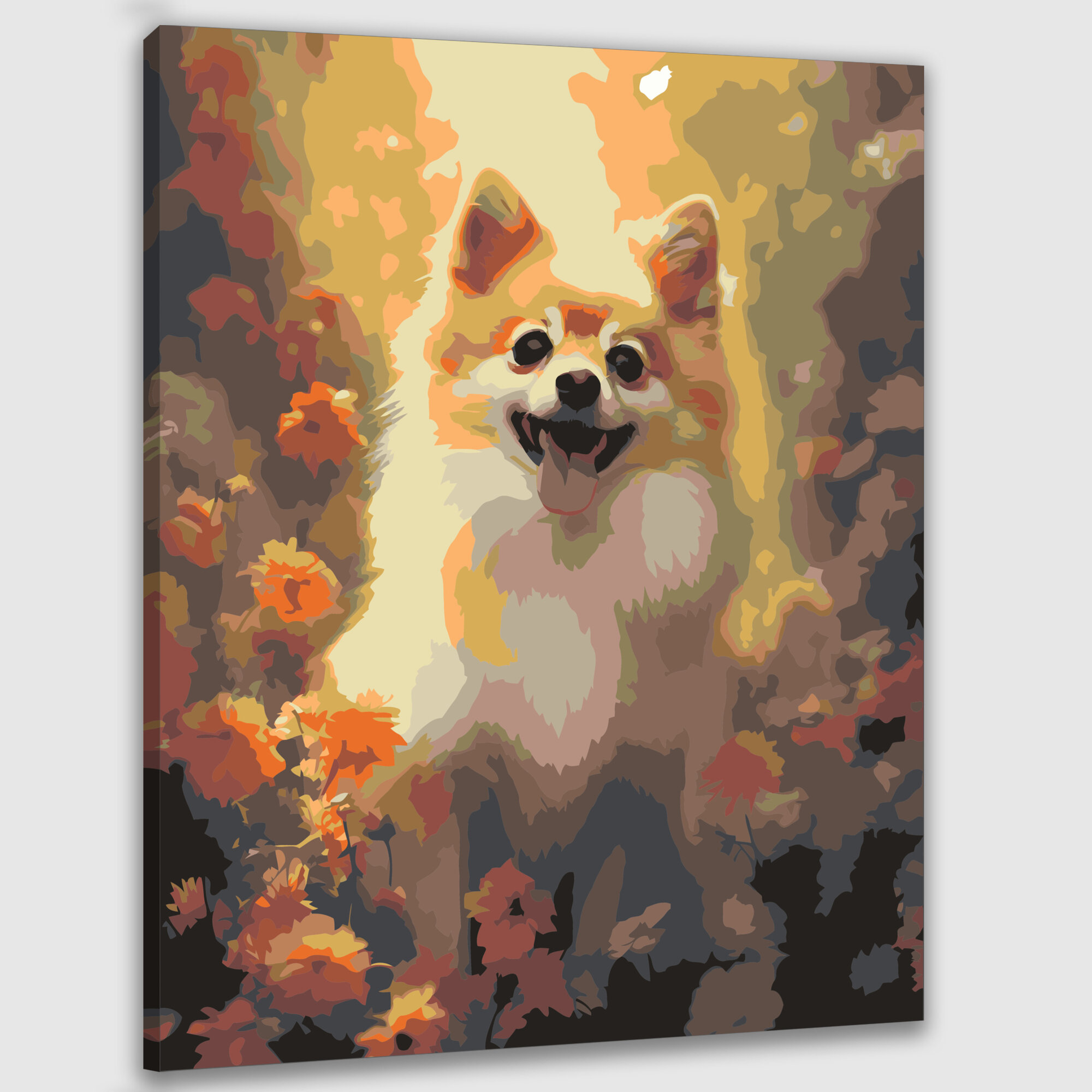 Картина по номерам 40x50 см, померанский шпиц, солнечный сад, переливы меха, цветовые текстуры, красота меха